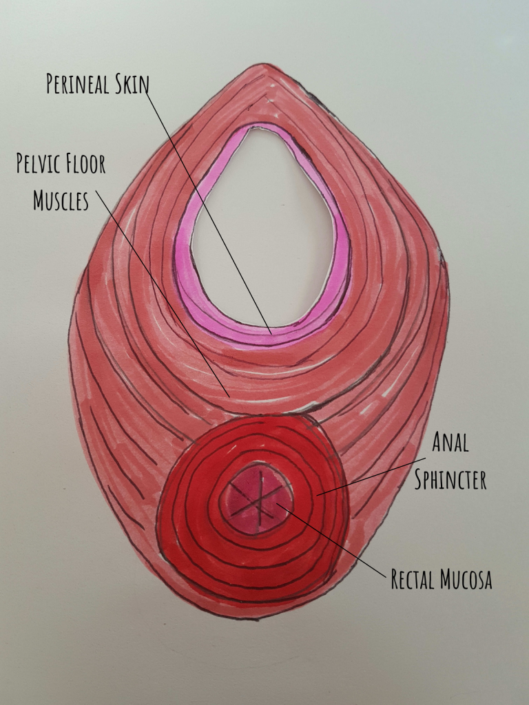 Vaginal Tears In Childbirth – What You Need to Know - ReConnect Health ...